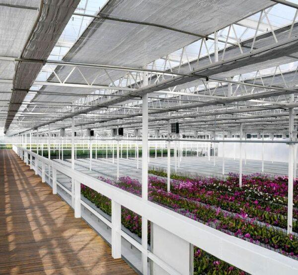 Common Cultivation Patterns In Greenhouses | Zirhero- Best Growing ...