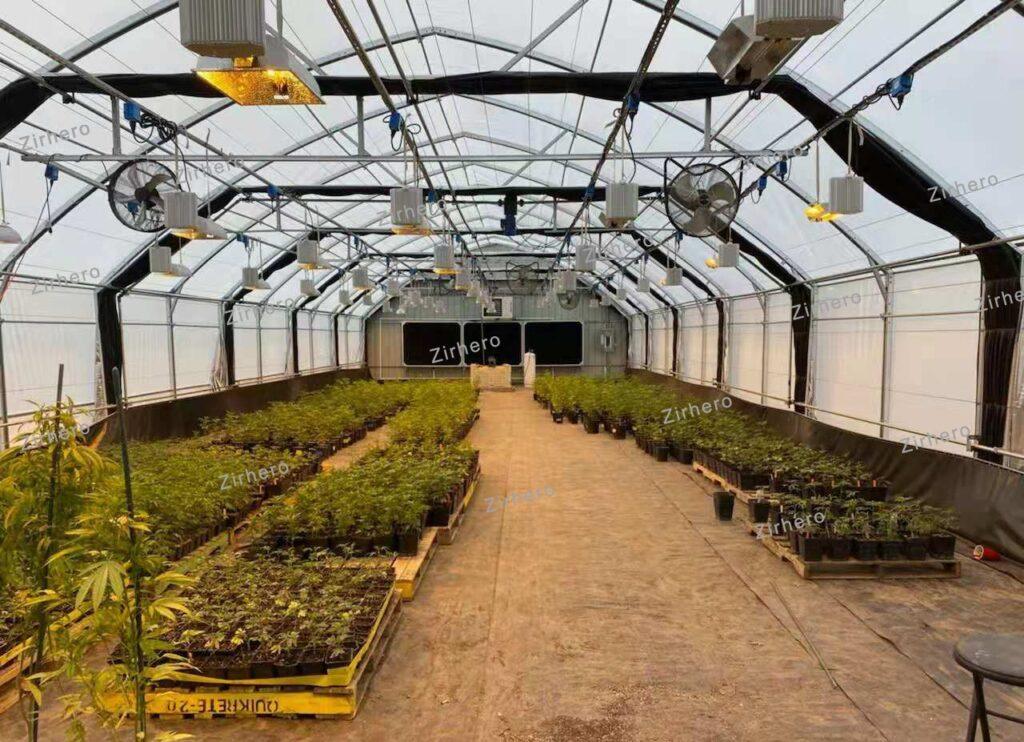 Smart Greenhouse And Planting Equipment