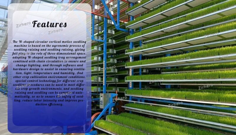 Indoor Vertical Barley Growing System – Efficient Hydroponic Solution
