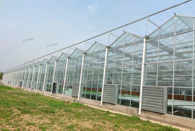 Glass Greenhouse Farming-Construction Of The Anhui 8000 M²