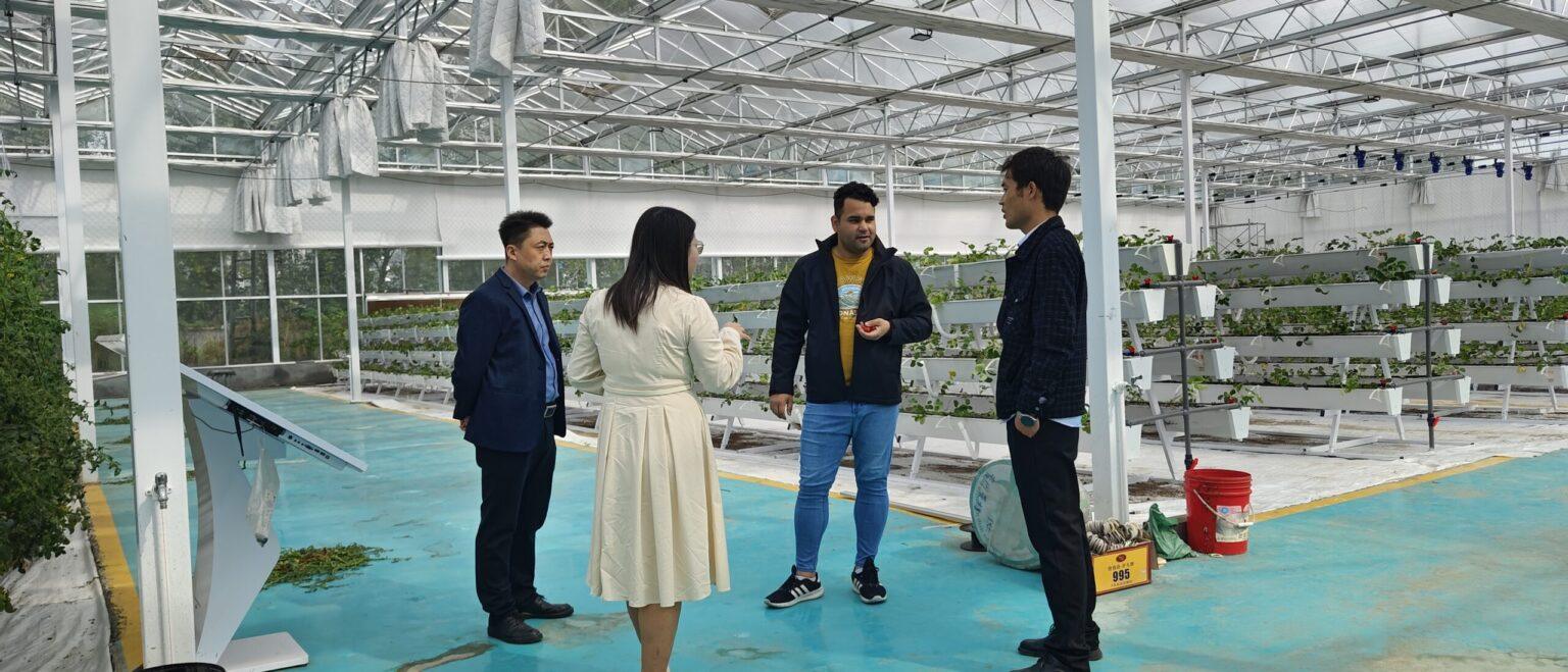 Smart Greenhouse And Planting Equipment