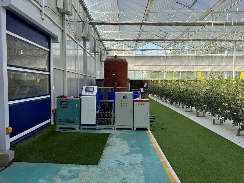Greenhouse Systems And Equipment | High-Quality Greenhouse Solutions